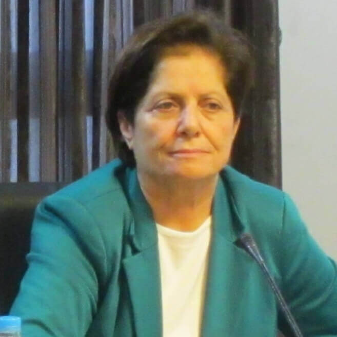 Board & Executive Committee | EuroMed Feminist Initiative