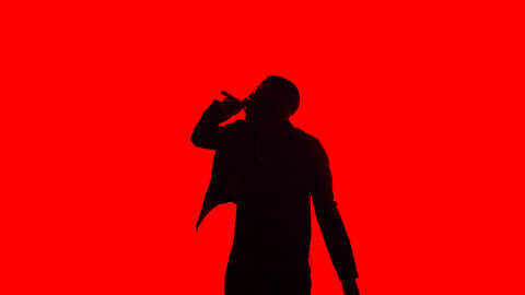 BRUCE WALL'AS - Site Officiel