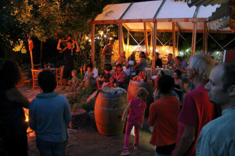 Programmation 2022 | Vivant·e