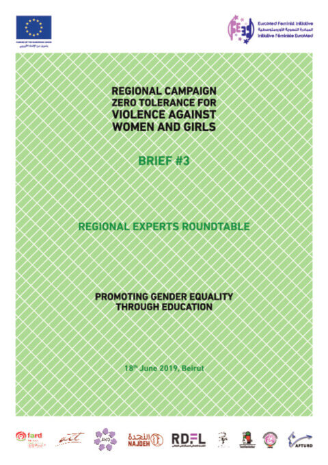 Recommendations: from the Regional Experts Roundtable on Gender ...