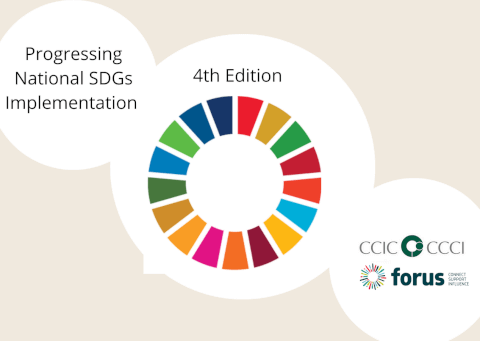 Launch of the 4th edition of the Progressing National SDG Implementation 2019 : how countries ...