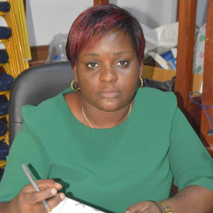 Organisation et coordination | REPONGAC - Réseau des Plate-formes des ONG de l'Afrique Centrale