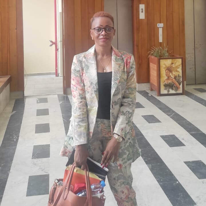 Organisation et coordination | REPONGAC - Réseau des Plate-formes des ONG de l'Afrique Centrale