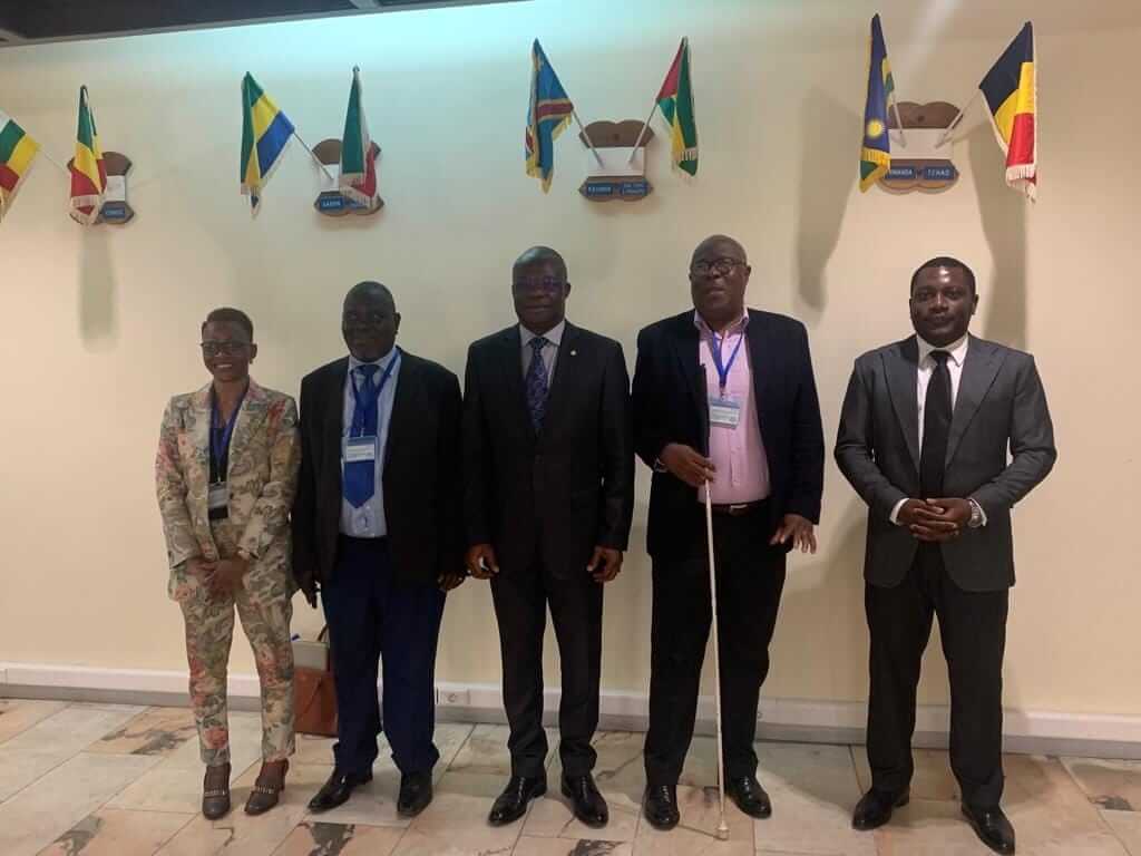 Groupes de travail | REPONGAC - Réseau des Plate-formes des ONG de l'Afrique Centrale