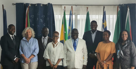 Nos actions | REPONGAC - Réseau des Plate-formes des ONG de l'Afrique Centrale